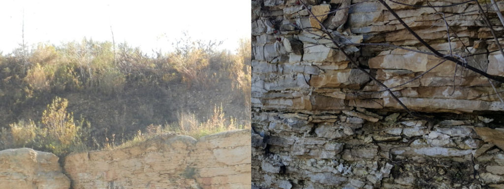 Bedrock covered by soil and an example of fractured bedrock - Silurian ...